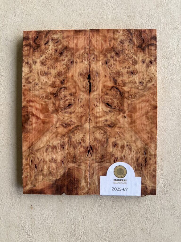 Cachas burl de Coihue (2025-67) - Maderas Exóticas